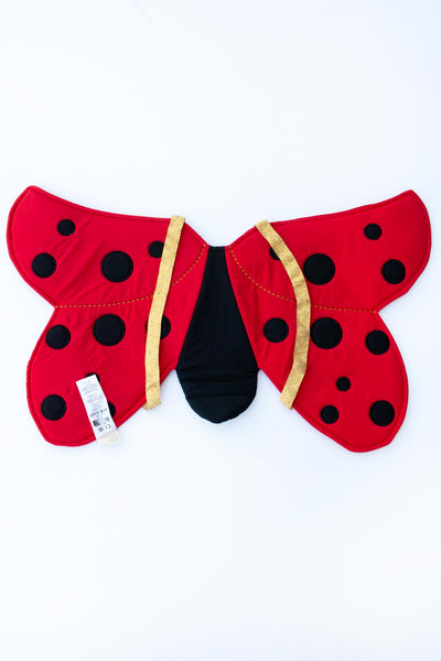 Ladybug Wings – Lost & Found