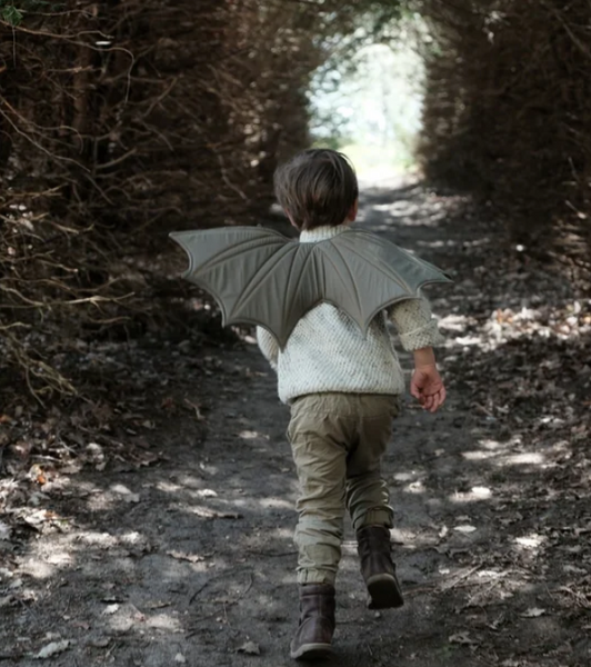 Dragon Wings – Lost & Found